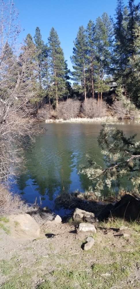 First Street Rapids Park | Inclusive Rec Database