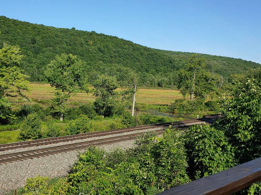 Rattlesnake Hill Wildlife Management Area Nature Observation- NYS DEC ...